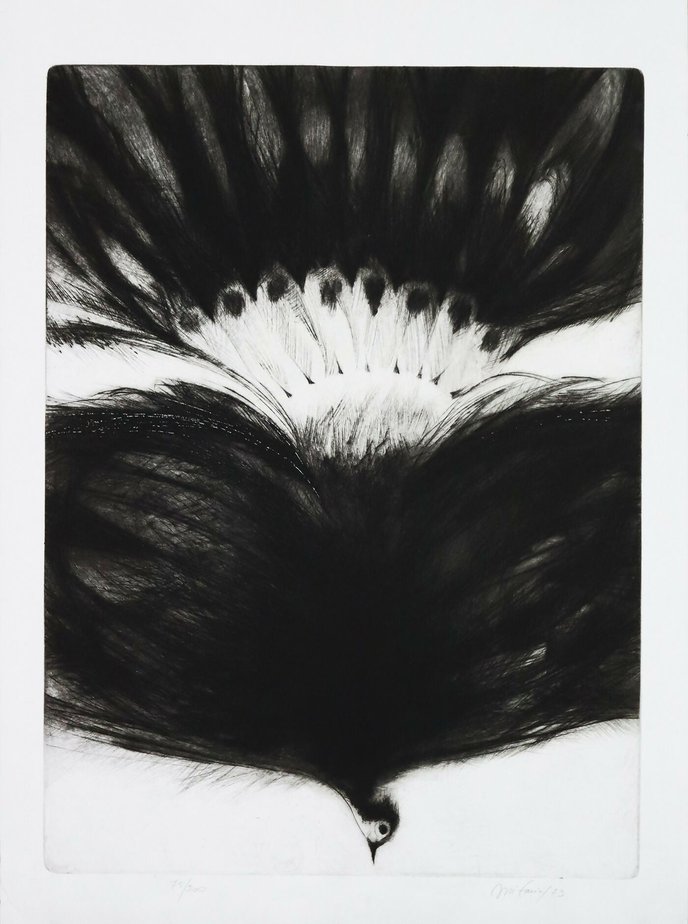 José Faria | P55.ART