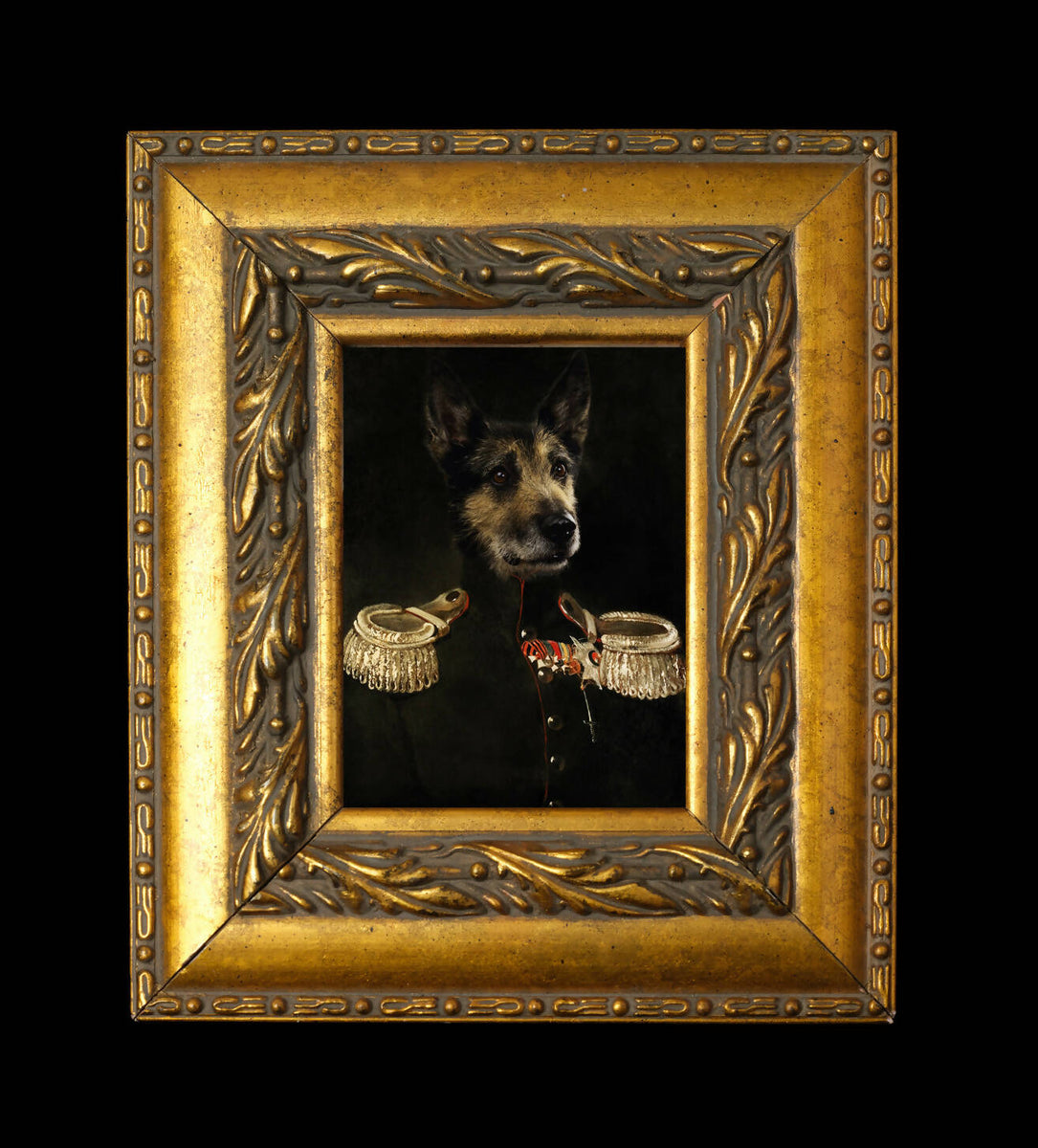 João Carlos | P55.ART